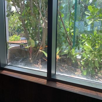 ROSEWATER ROOFTOP BY AKIRA BACK - Updated October 2025 - 204 Photos ...