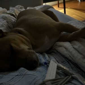 CENTENNIAL SURGERY CENTER - Updated September 2025 - 502 Centennial ...