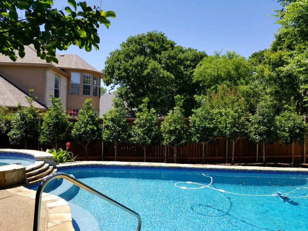 BIG BEAR TREE COMPANY - Updated January 2026 - 14 Photos - Arlington ...