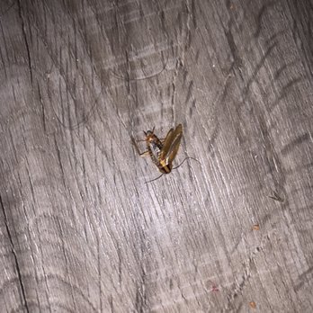 POINT GUARD MANAGEMENT - Updated July 2024 - 31 Photos & 20 Reviews ...