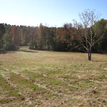 AYR MOUNT - Updated January 2026 - 142 Photos & 11 Real Reviews - 376 ...