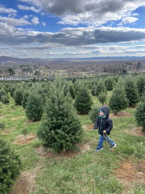 SNICKERS GAP CHRISTMAS TREE FARM - TEMP. CLOSED - Updated July 2025 ...