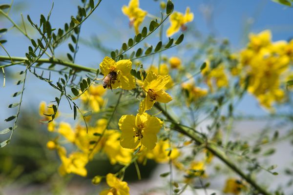 BELMONT NURSERY - Updated January 2026 - 521 Photos & 132 Reviews ...