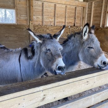 PINE GROVE ZOO - Updated October 2025 - 15 Photos - 1200 W Broadway ...