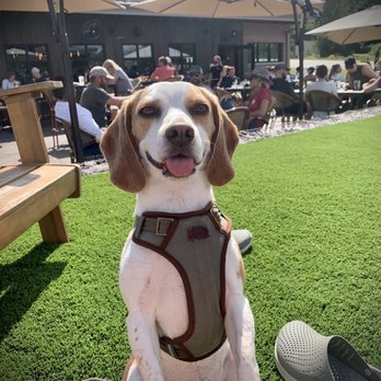 TENBA RIDGE WINERY - Updated October 2025 - 29 Photos & 10 Reviews ...