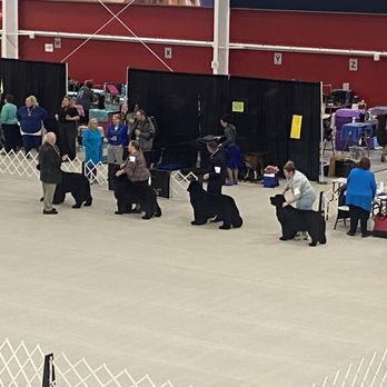 PURINA FARMS - TEMP. CLOSED - Updated August 2025 - 161 Photos & 54 ...