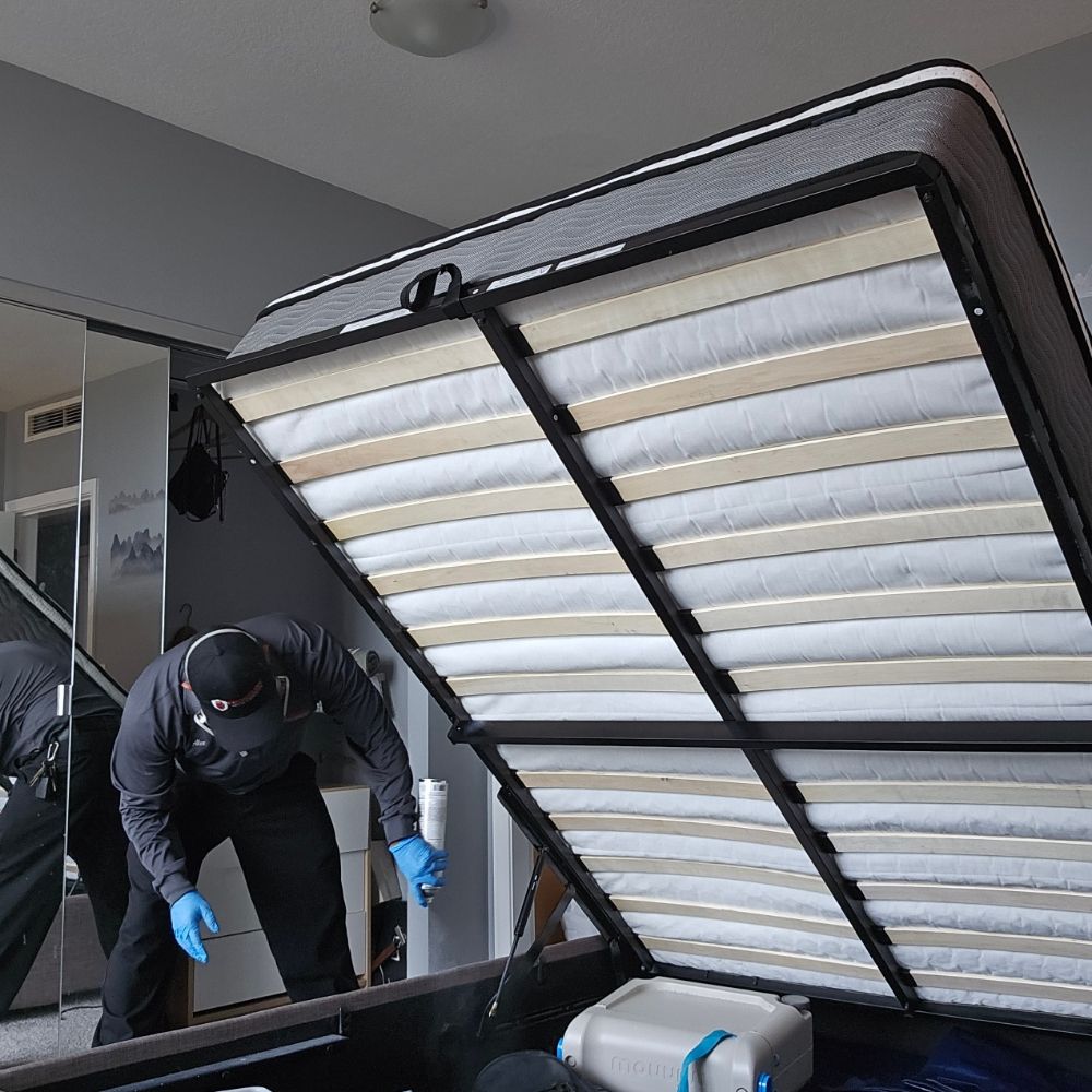 FRONTLINE PEST EXPERTS - Updated July 2025 - 32 Photos & 14 Reviews ...