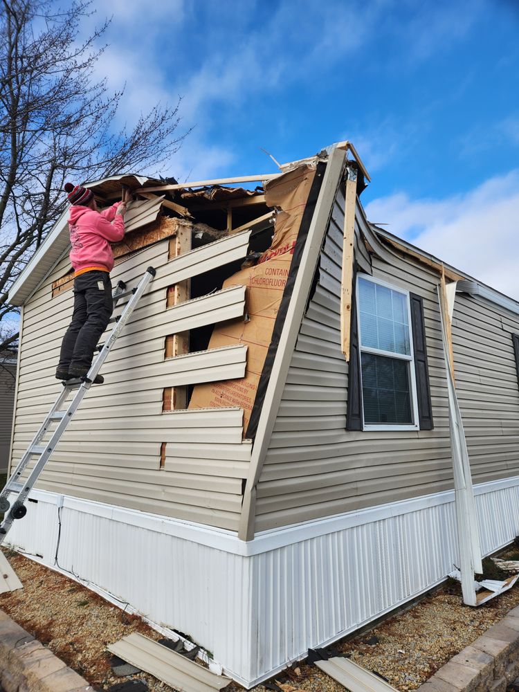 TREE WISE MEN - Updated October 2025 - 72 Photos - 4332 E County Rd O ...