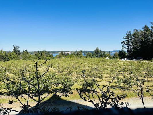 SEA CIDER FARM & CIDERHOUSE - Updated October 2025 - 149 Photos & 70 ...