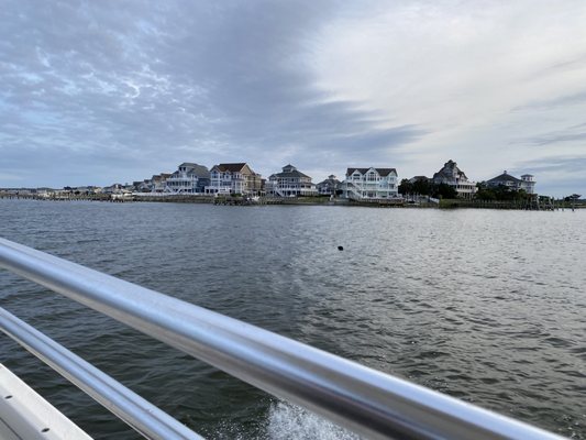 PARADISE CRUISES - Updated September 2025 - 44 Photos & 34 Reviews ...