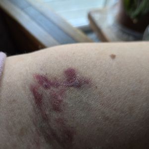 READYMED PLUS - Updated March 2025 - 43 Reviews - 366 Shrewsbury St ...