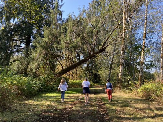 BIG SPRUCE RESORT RV & CABINS - Updated December 2025 - 7 Riverview Dr ...