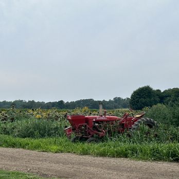 HARBES FAMILY FARM & VINEYARD - Updated May 2025 - 822 Photos & 296 ...
