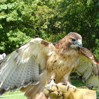 MITCHELL MEMORIAL FOREST - Updated November 2025 - 78 Photos & 10 ...