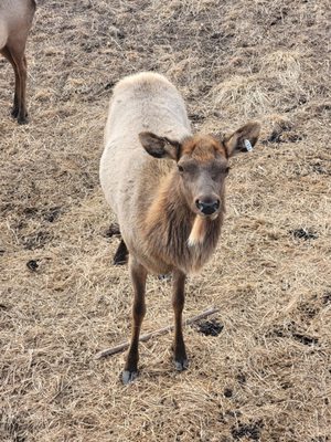 JESTER PARK NATURE CENTER - Updated December 2025 - 70 Photos - 12130 ...