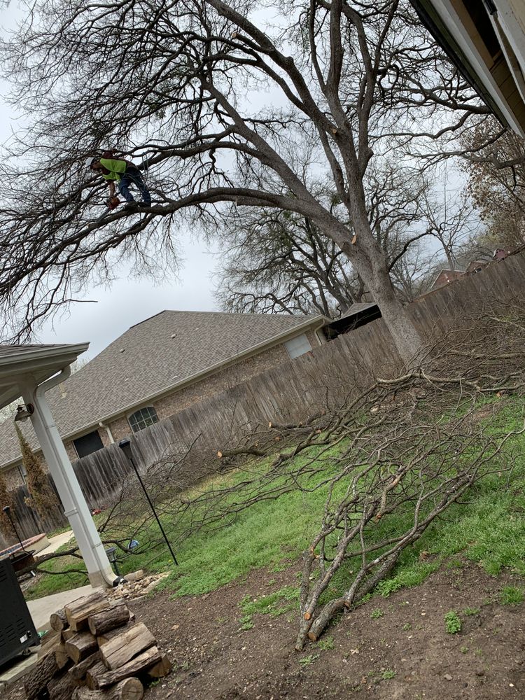 PONCE SERVICES - Updated March 2025 - Request a Quote - Austin, Texas ...