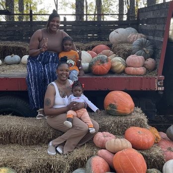 FUN FARM PUMPKIN PATCH - Updated December 2025 - 108 Photos & 47 ...