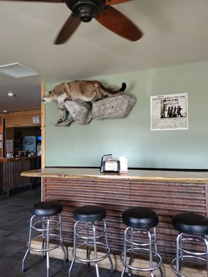 BIG BULL BAR & GRILL - Updated December 2025 - 23 Photos & 57 Reviews ...