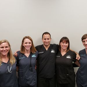 HIGH RIDGE ANIMAL HOSPITAL - 2612 Gravois Rd, High Ridge, Missouri ...