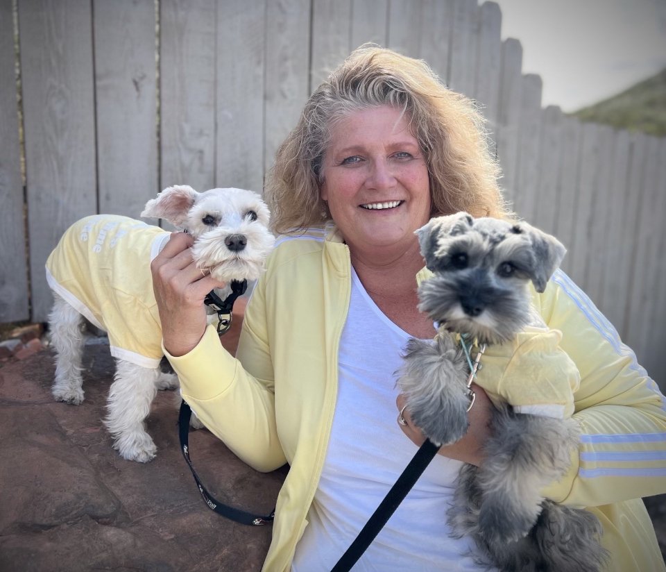 AA DOG GROOMING - Updated August 2025 - 31 Photos - St. George, Utah ...