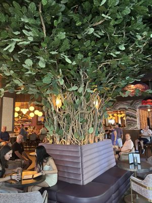 BEELINE - Updated July 2025 - 21 Photos & 11 Reviews - 9115 Strada Pl ...