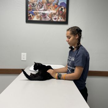 NORTH PHOENIX ANIMAL CLINIC - Updated October 2025 - 50 Photos & 133 ...