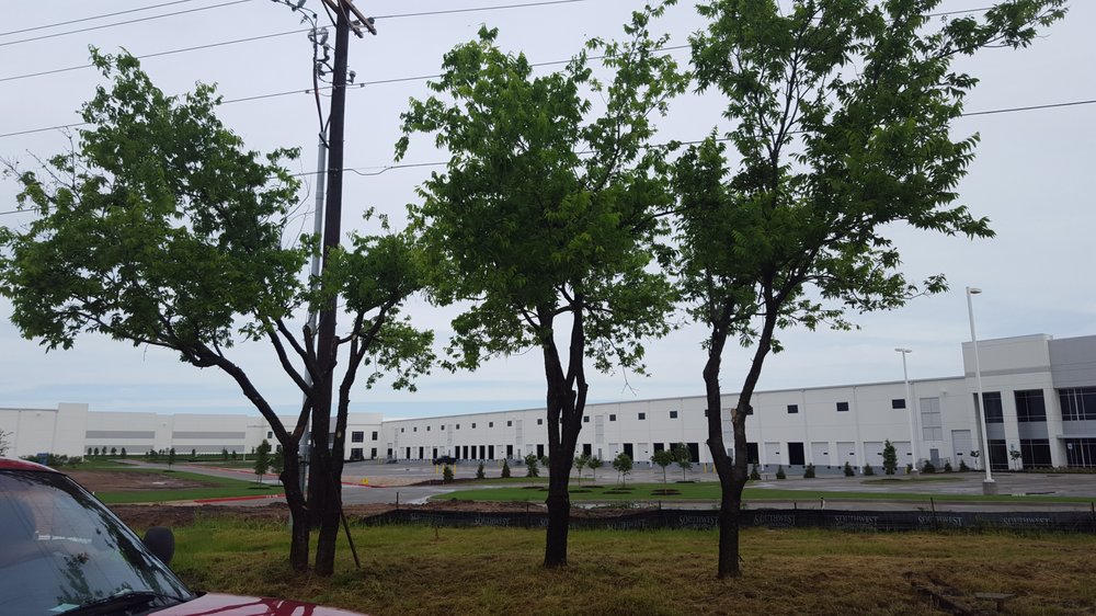 ADAMS TREE SERVICE - Updated July 2025 - 20 Photos - Denton, Texas ...