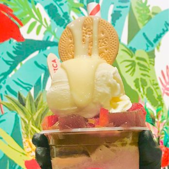 AMAZONICA - Updated November 2025 - 193 Photos & 126 Reviews - 5030 NE ...