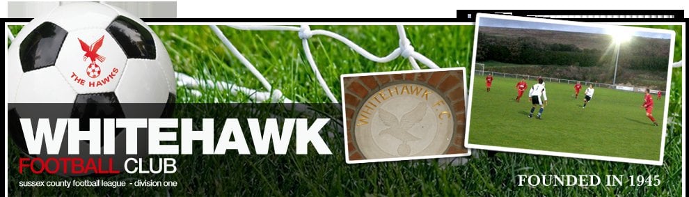 WHITEHAWK FOOTBALL CLUB - Wilson Avenue, Brighton, United Kingdom ...