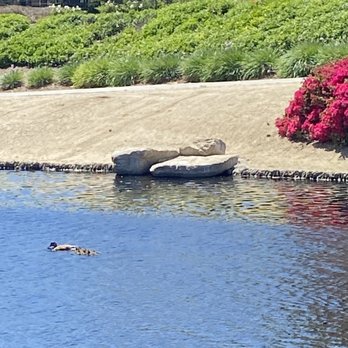 RIVERWALK PARKWAY - Updated October 2025 - 102 Photos & 27 Reviews ...