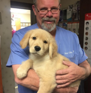 MOUNT TABOR ANIMAL HOSPITAL - Updated October 2025 - 23 Reviews - 4138 ...