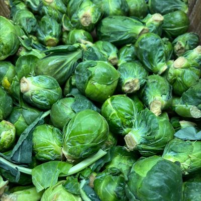 TANNER BROTHERS DAIRY - Updated June 2024 - 87 Photos & 146 Reviews ...