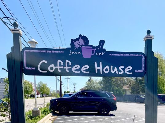 JAVA CAT - Updated September 2025 - 79 Photos & 120 Reviews - 4221 Lien ...