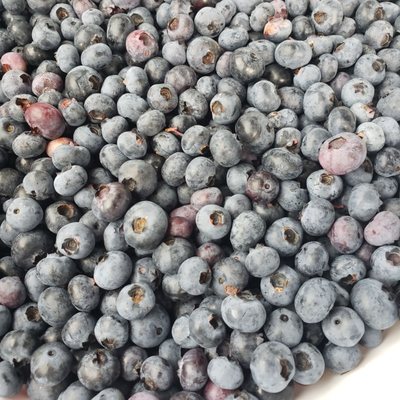 BRYANT BLUEBERRY FARM - Updated July 2025 - 38 Photos - 6900 Oak Park ...