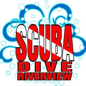 DEEP SIX DIVERS SERVICE - Updated July 2025 - 39 Photos & 15 Reviews ...