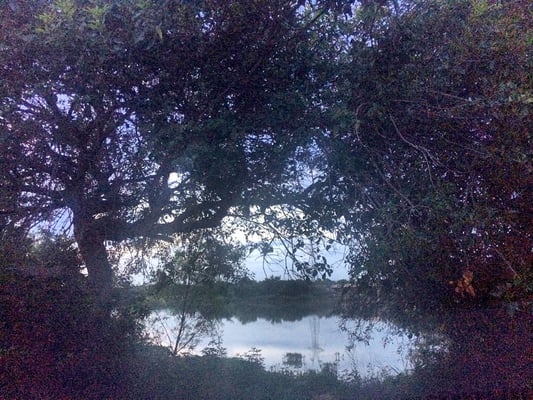 BRITTON PARK - Updated July 2025 - Britton Park, Mansfield, Texas ...