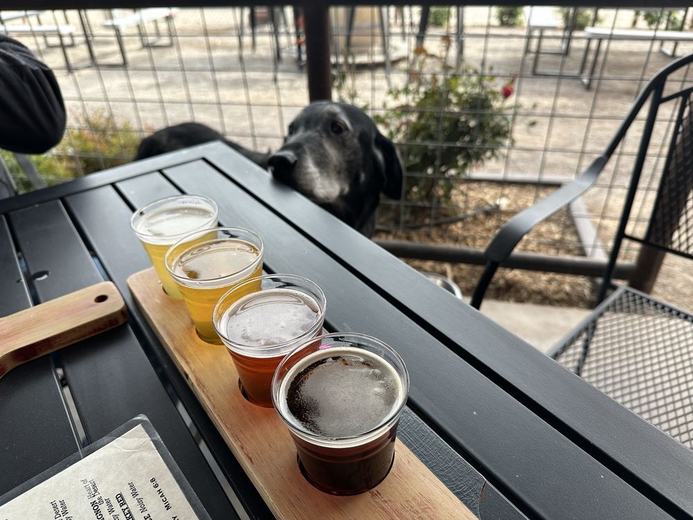 575 BREWING COMPANY - Updated May 2026 - 86 Photos & 55 Reviews - 234 W ...