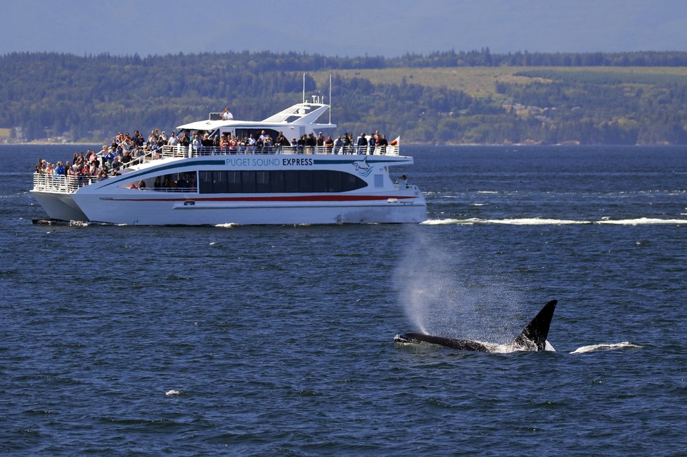 PUGET SOUND EXPRESS - Updated December 2025 - 231 Photos & 93 Reviews ...