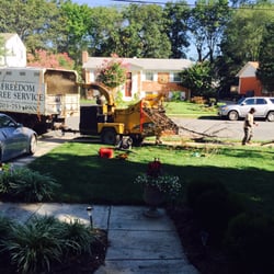 FREEDOM TREE SERVICE - 15 Photos & 24 Reviews - 5004 Gum Spring Rd ...