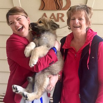 ABANDONED ANIMAL RESCUE - Updated January 2025 - 22 Photos & 31 Reviews ...