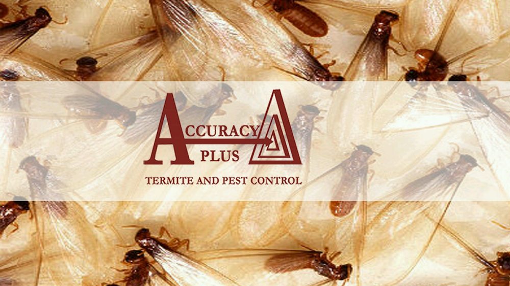 ACCURACY PLUS TERMITE & PEST CONTROL - Updated December 2024 - 34 ...