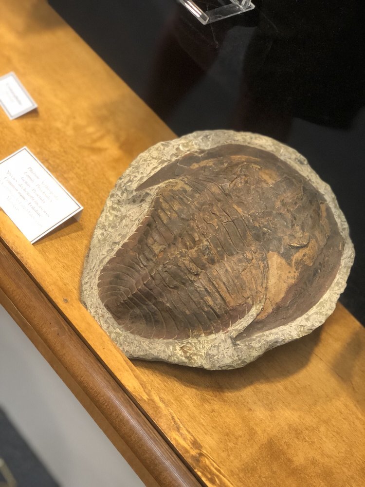 CRATER ROCK MUSEUM & GIFT SHOP - 23 Photos & 20 Reviews - Museums ...