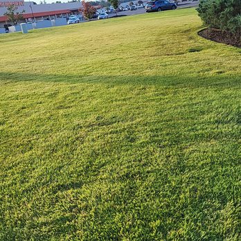 AXEL LAWN CARE & LANDSCAPING - Tuscaloosa, Alabama - Landscaping ...