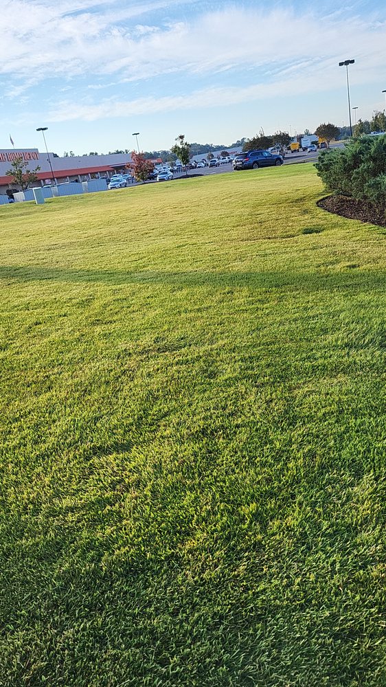 AXEL LAWN CARE & LANDSCAPING - Tuscaloosa, Alabama - Landscaping ...