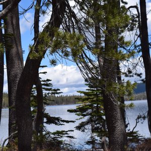 FULLER LAKE - 23 Photos - Nevada City, California - Lakes - Phone ...