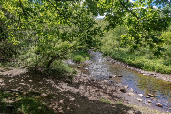 HEDDEN COUNTY PARK - Updated May 2024 - 81 Photos & 13 Reviews - Off ...