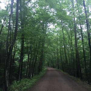 VALLEY FALLS PARK - 84 Photos & 25 Reviews - Parks - 300 Valley Falls ...