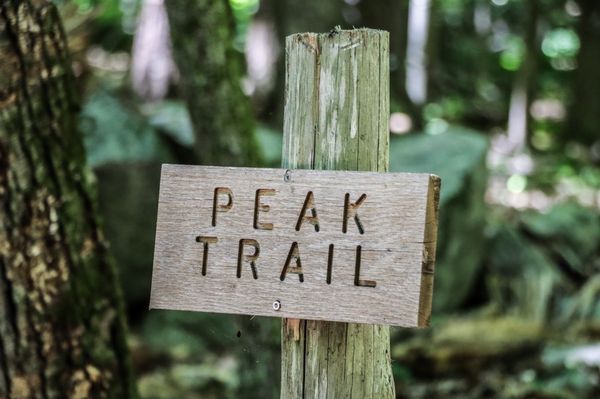 MIANUS RIVER PARK - Updated October 2025 - 57 Photos & 17 Reviews ...