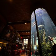 WATERBAR - 6203 Photos & 3697 Reviews - 399 The Embarcadero, San ...