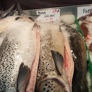 KINGS FISH & SEAFOOD MARKET - 55 Photos & 30 Reviews - Seafood Markets ...